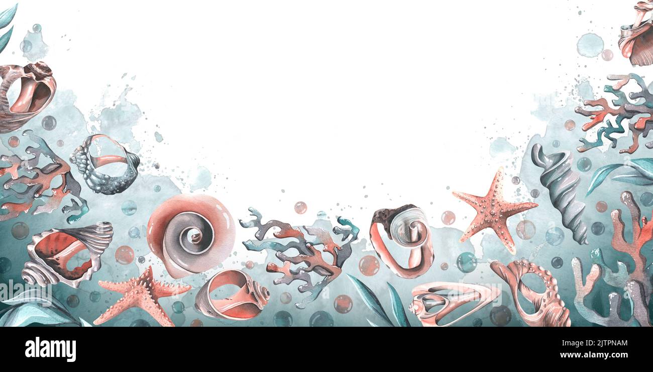 Horizontal frame with shells, algae, corals and bubbles. Watercolor ...