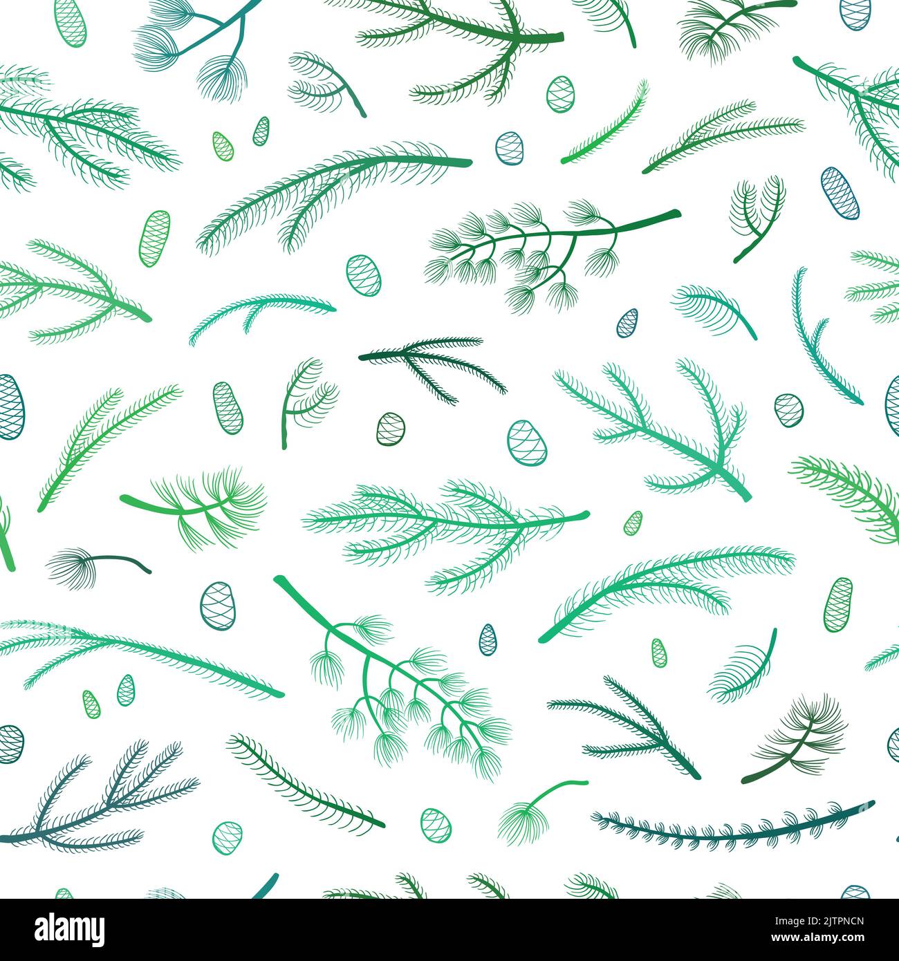 Seamless pattern with hand drawn green coniferous fir, pine, cedar ...