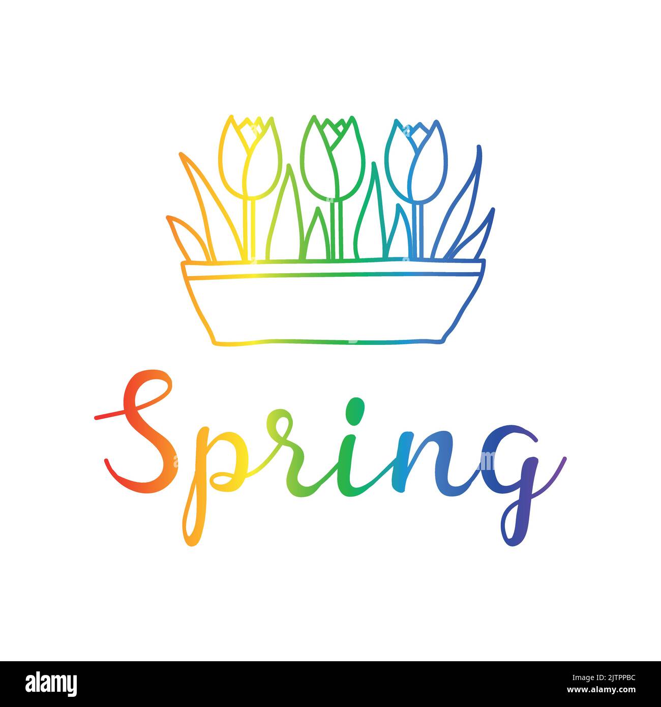 Colorful rainbow lettering spring with outline tulip flowers in ...