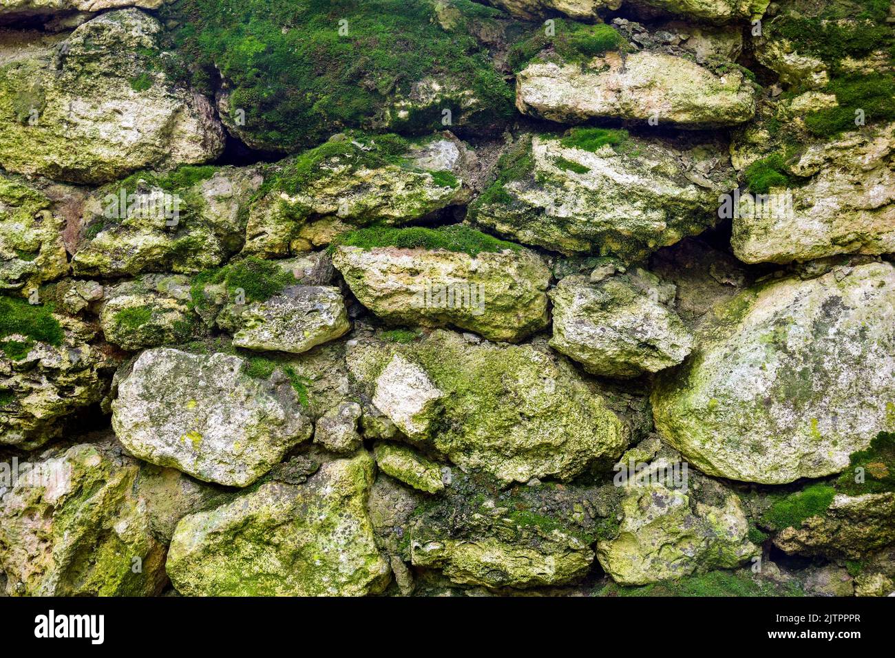 Stone wall overgrown hi-res stock photography and images - Alamy