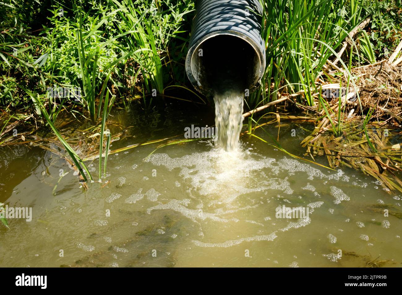 Sewage pipe discharges sewage and wastewater into the river ...