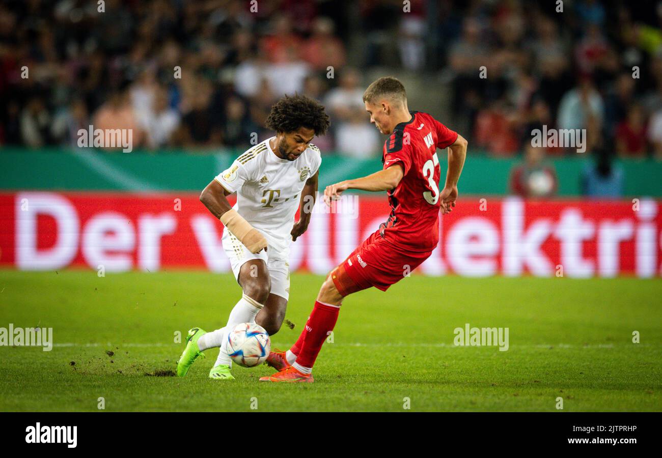 Niklas may hi-res stock photography and images - Alamy