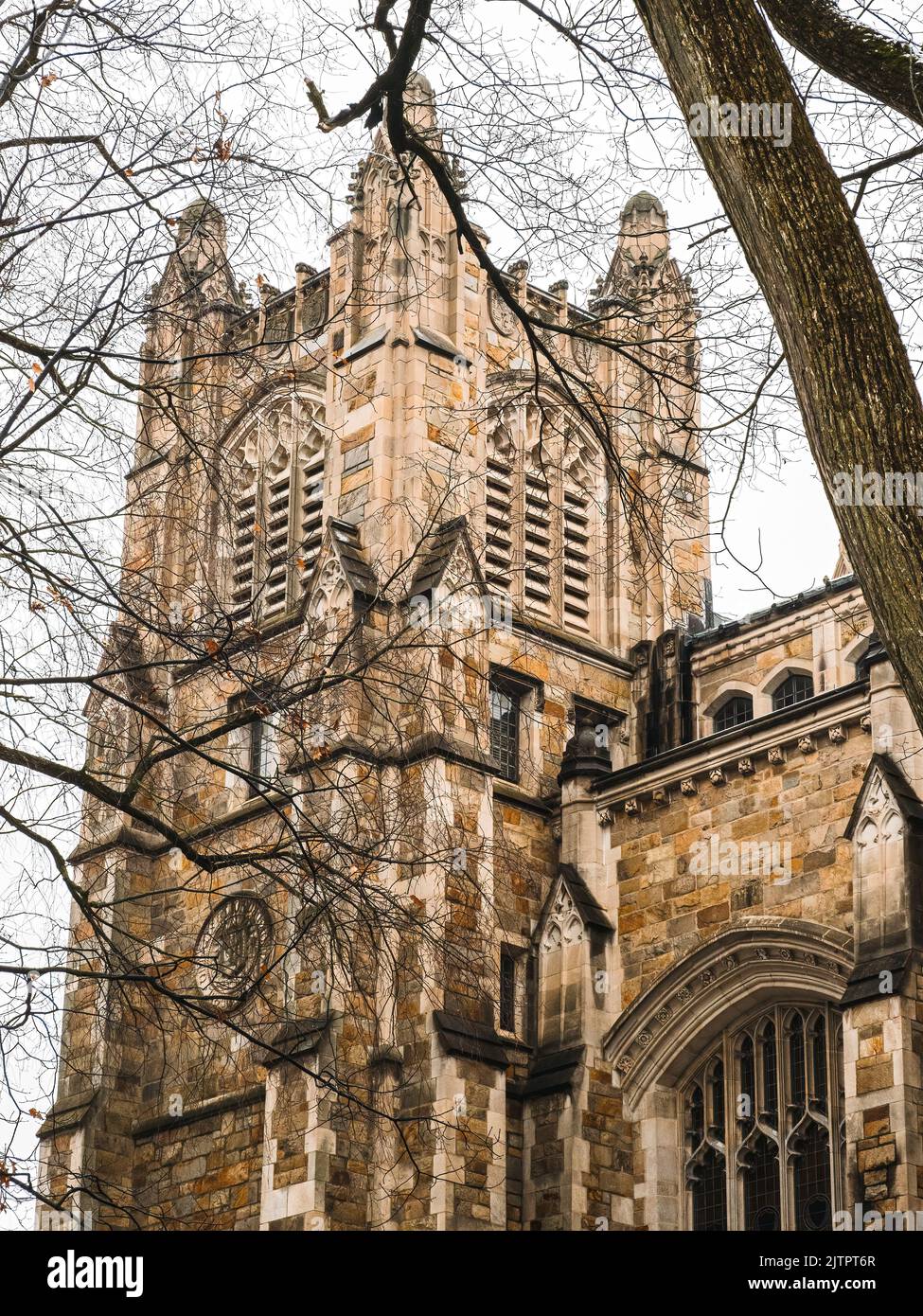 A vertical shot of the University of Michigan Law School in the US ...