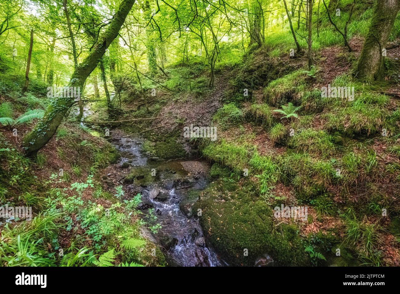 Lidofrd hi-res stock photography and images - Alamy