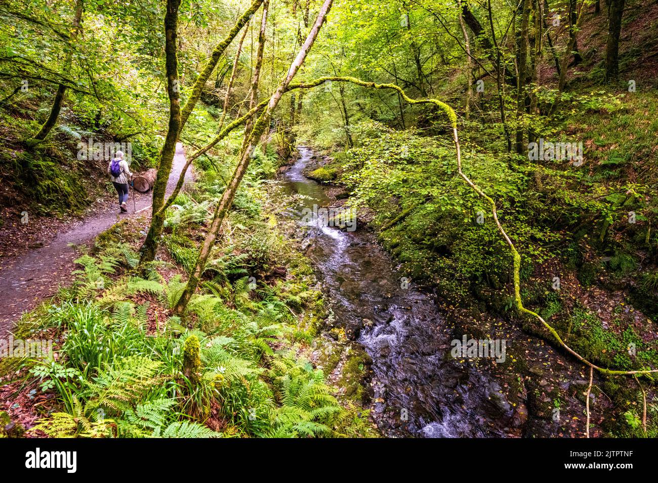 Lidofrd hi-res stock photography and images - Alamy