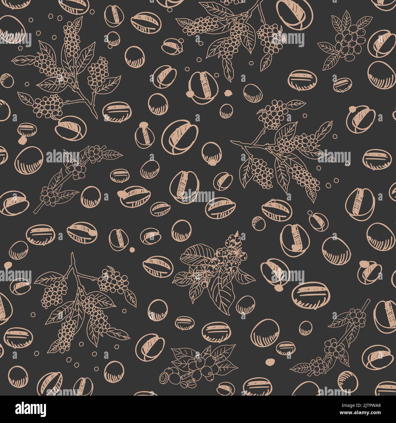Coffee bean pattern. Hand drawn coffee beans vector. Sketch of coffee ...