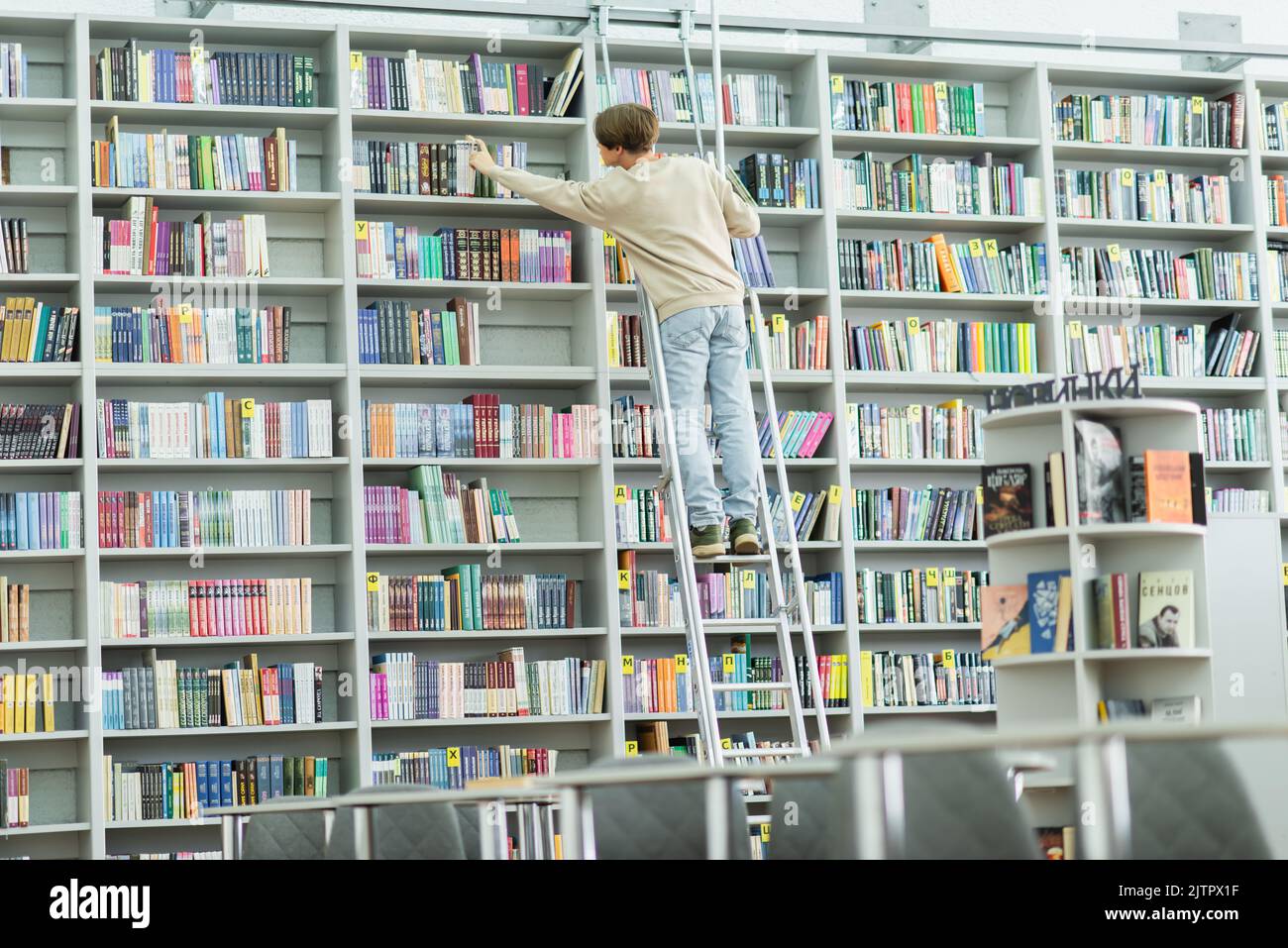 back view of teenage student standing on ladder and choosing books on ...