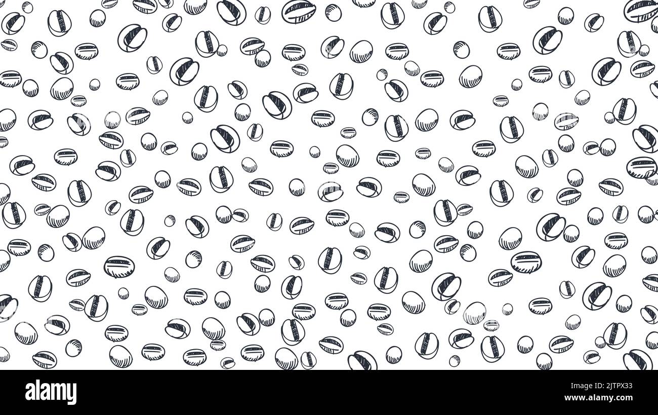Coffee bean pattern. Hand drawn coffee beans vector. Sketch of coffee beans Stock Vector Image ...