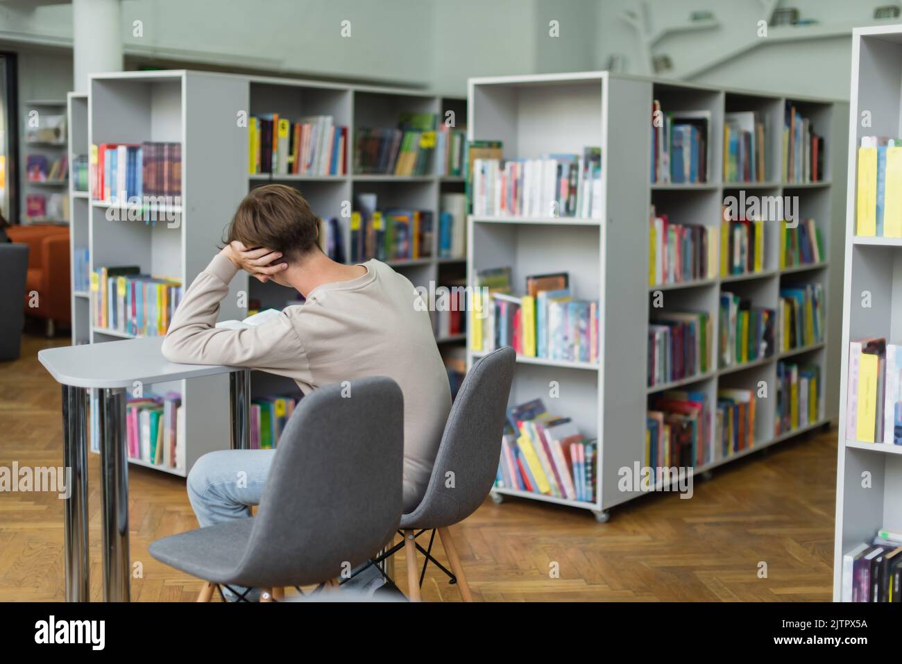 back view of teenage student sitting in library reading room near ...