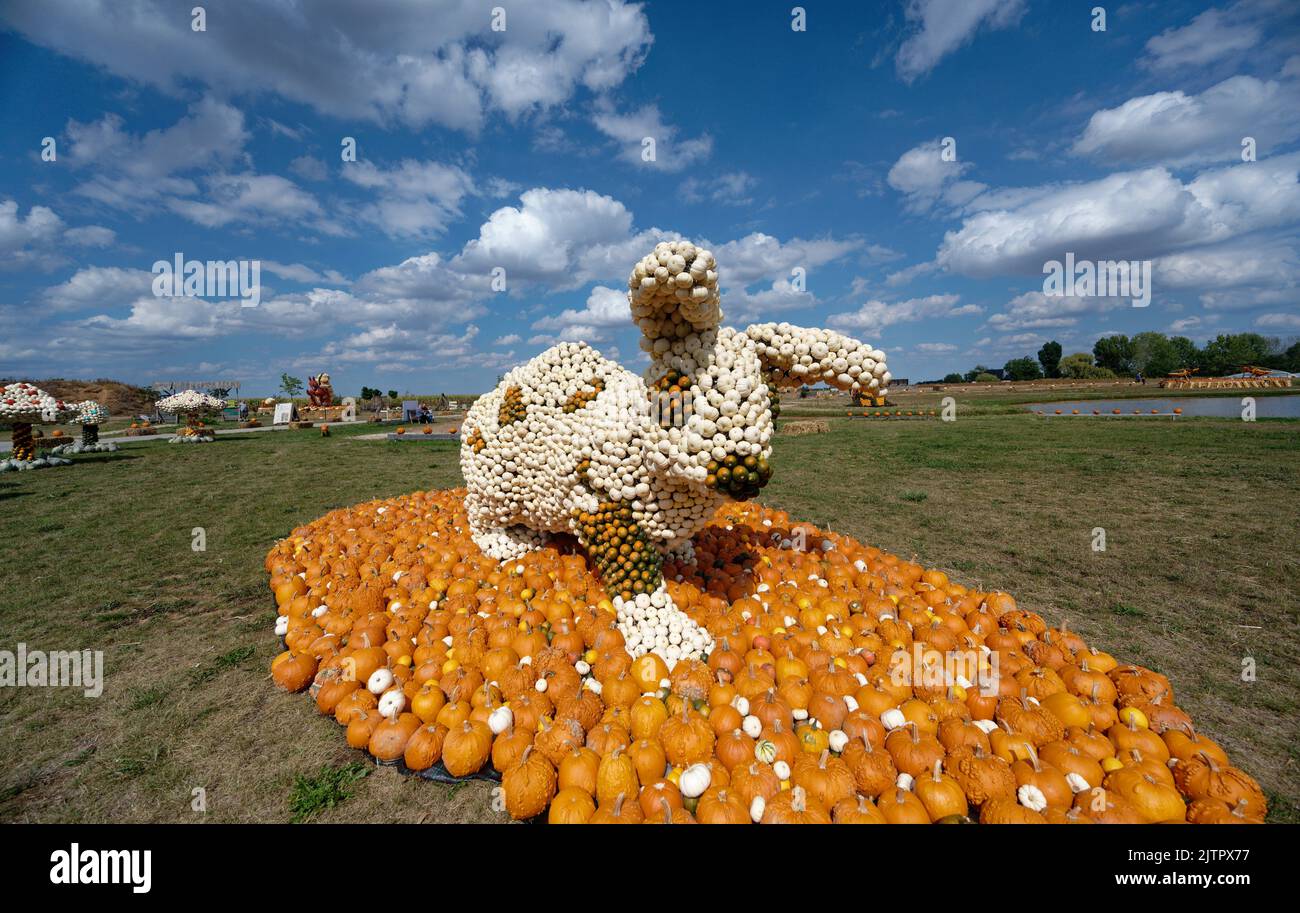 Mechernich, Germany. 01st Sep, 2022. A rabbit formed from pumpkins can ...