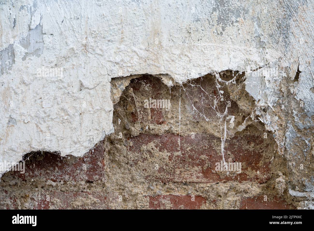 Saltpetre on a wall in the basement Stock Photo - Alamy