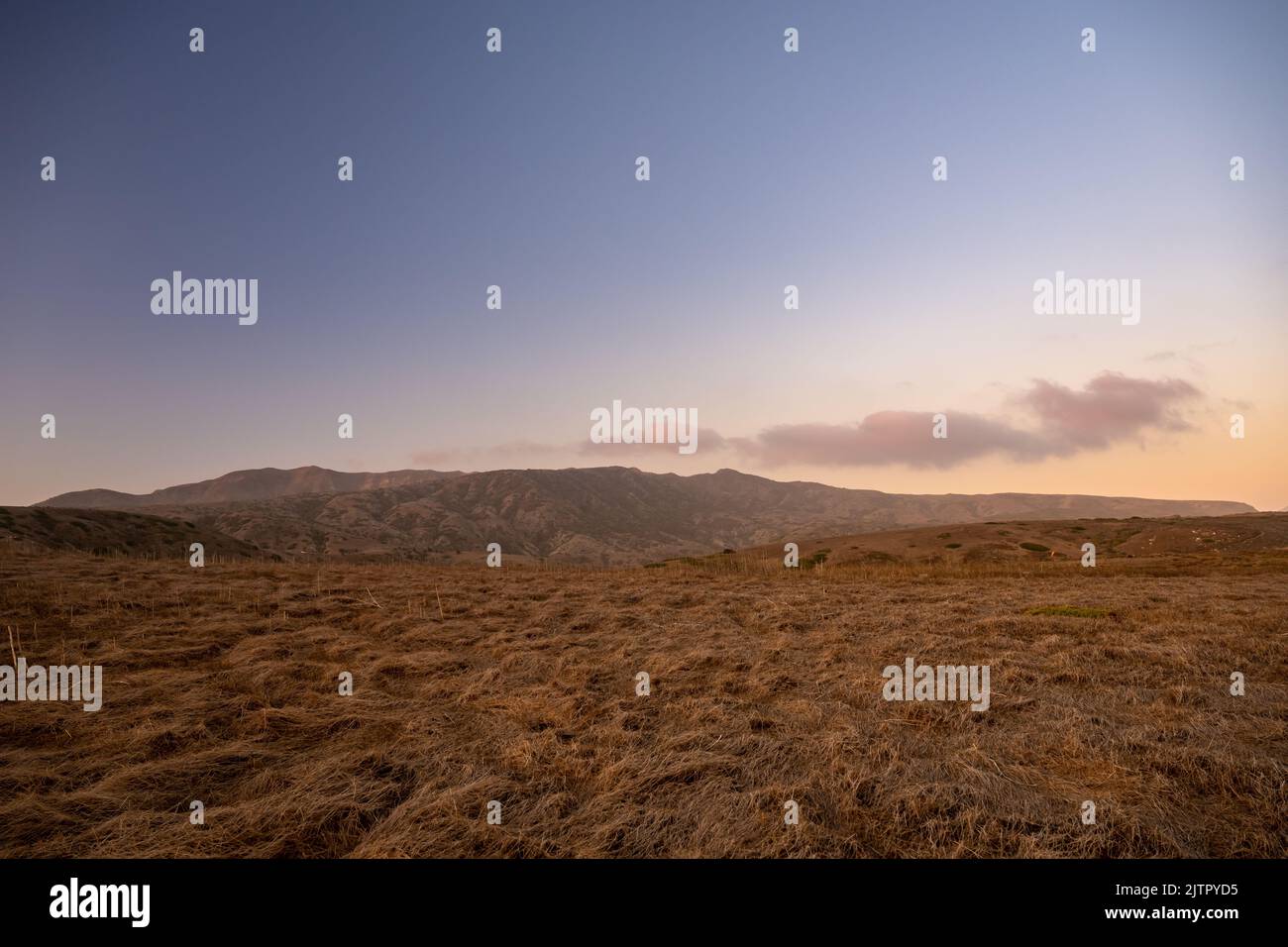 Dry Field Sits Below the High Ridge On Santa Cruz Island in Channel ...