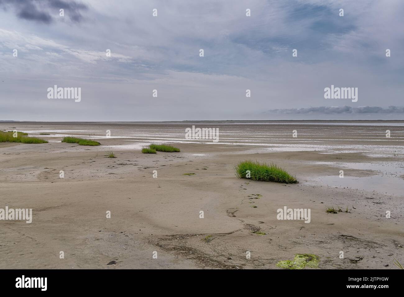 Salt marsh ecosystem hi-res stock photography and images - Alamy