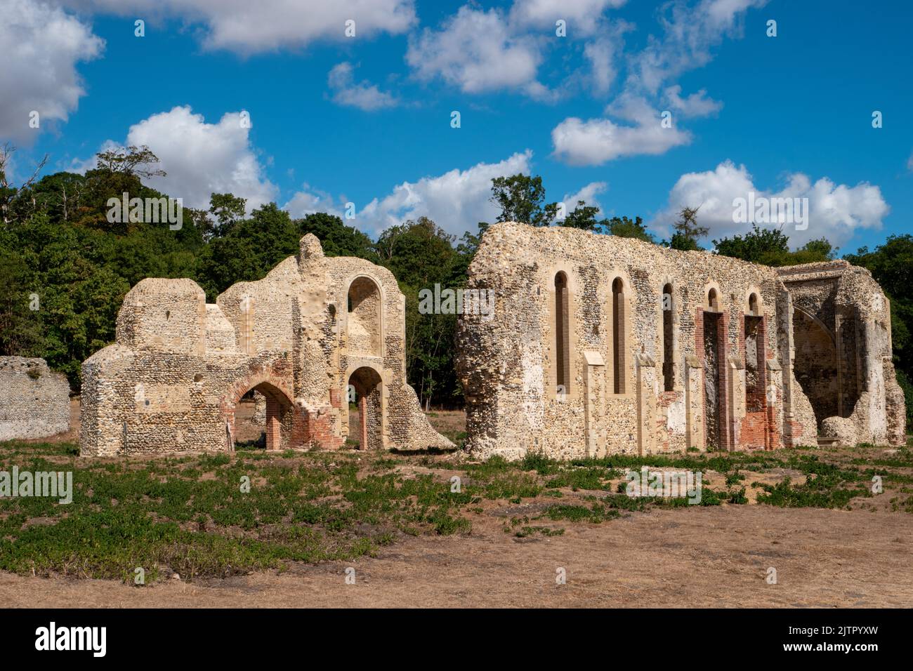 Taken from the south, looking at the south wall. Sibton Abbey (of the ...