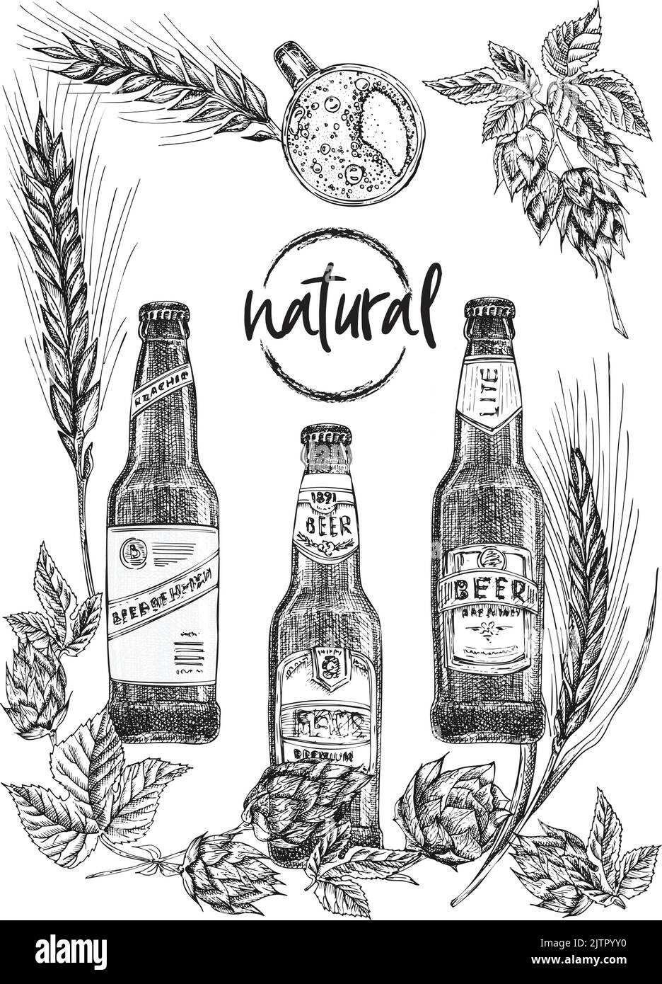 Set hand drawn sketch bottle and glasses beer, hop, wheat Vintage ...
