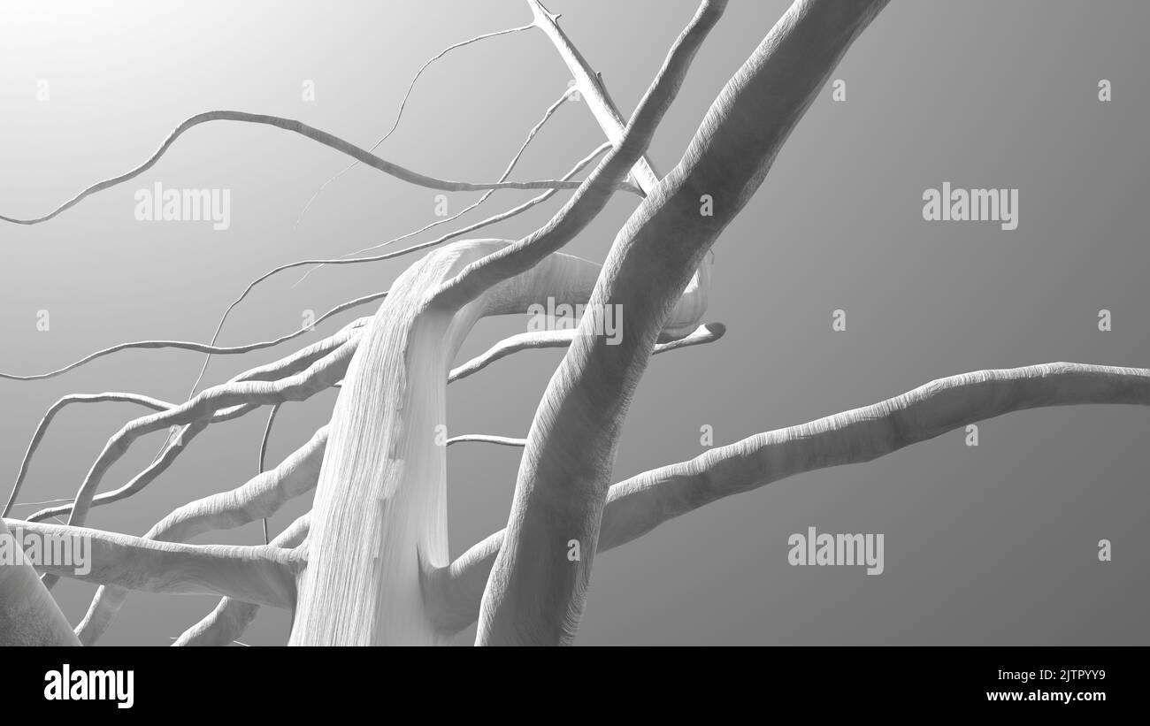 rendered simple-3D scene of an interestingly-curved tree captured from ...
