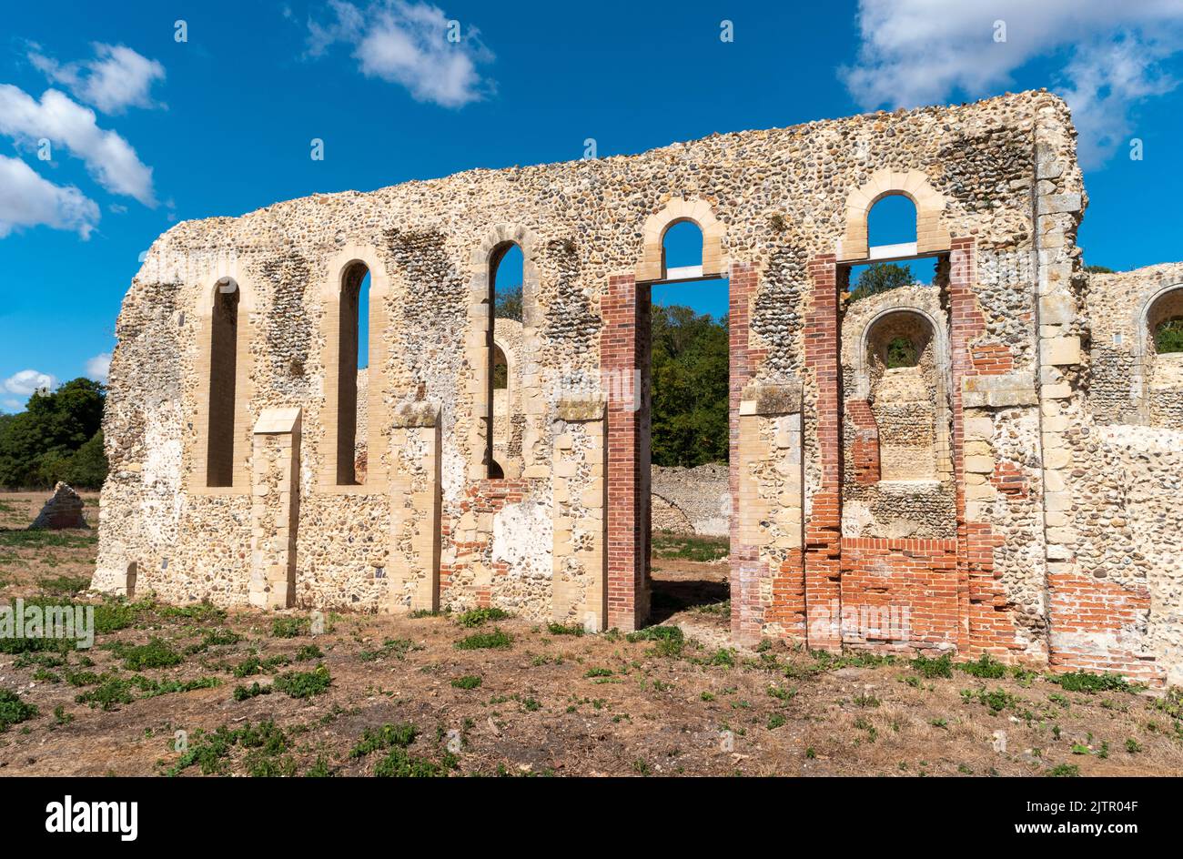 Taken from the south, looking at the south wall. Sibton Abbey (of the ...