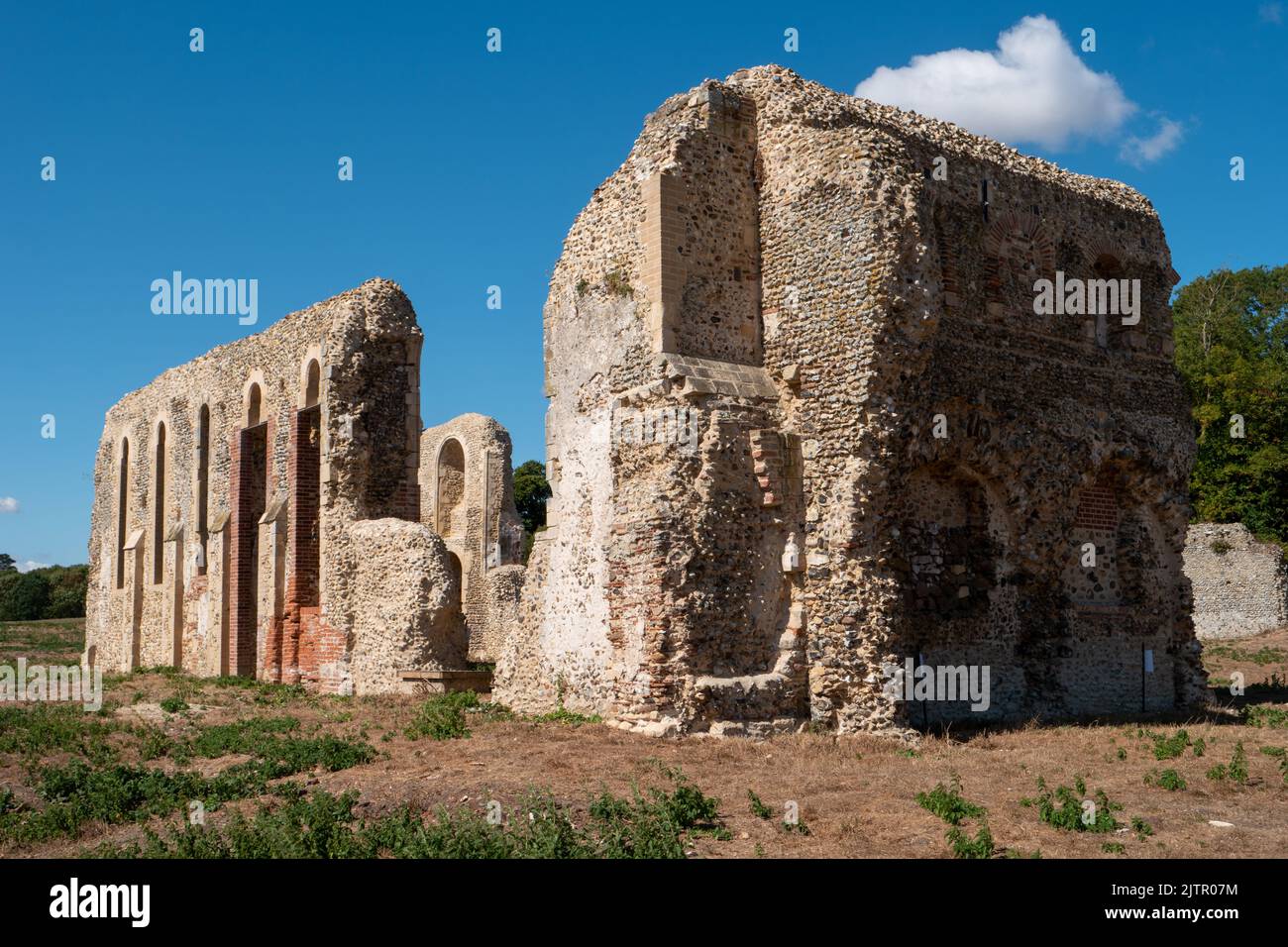 Taken from the south, looking at the south wall. Sibton Abbey (of the ...