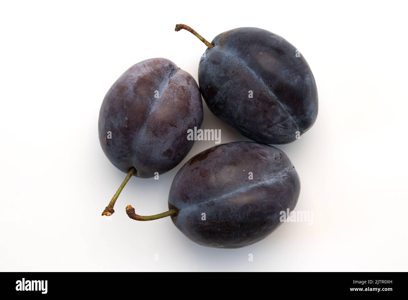 Three fresh purple plums hi-res stock photography and images - Alamy