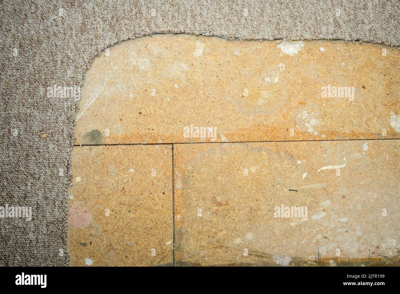 Old and damage carpet Stock Photo - Alamy