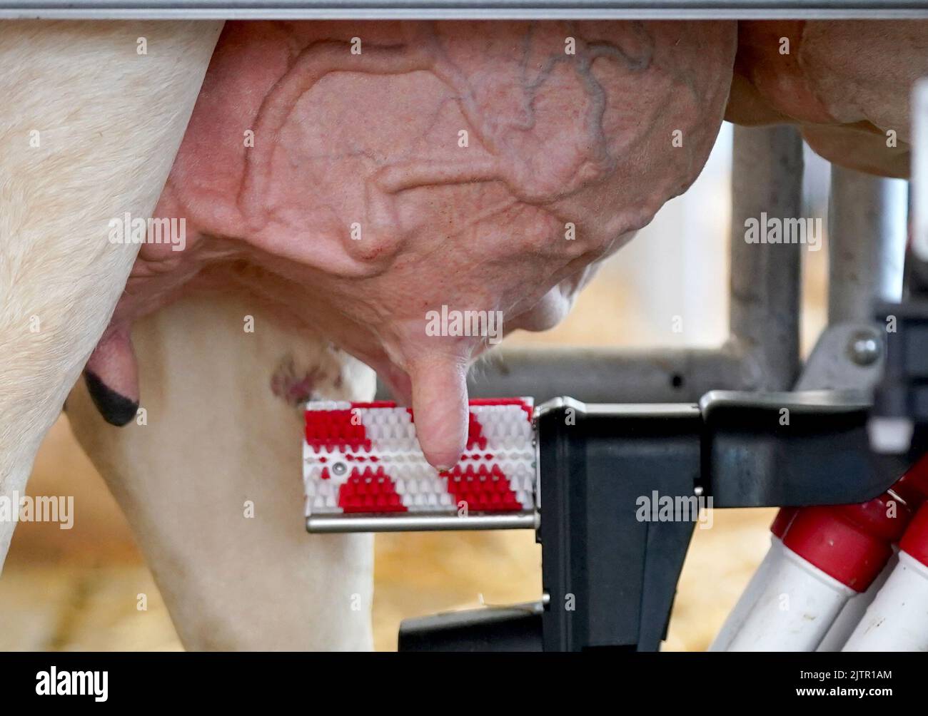 Lely astronaut hi-res stock photography and images - Alamy
