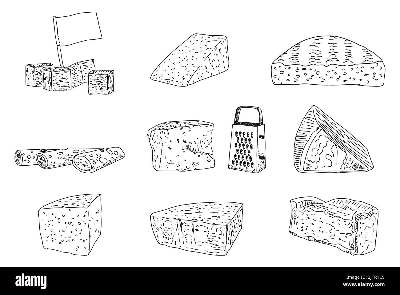 Cheese hand drawn vector illustrations. Farm market product. Healthy ...