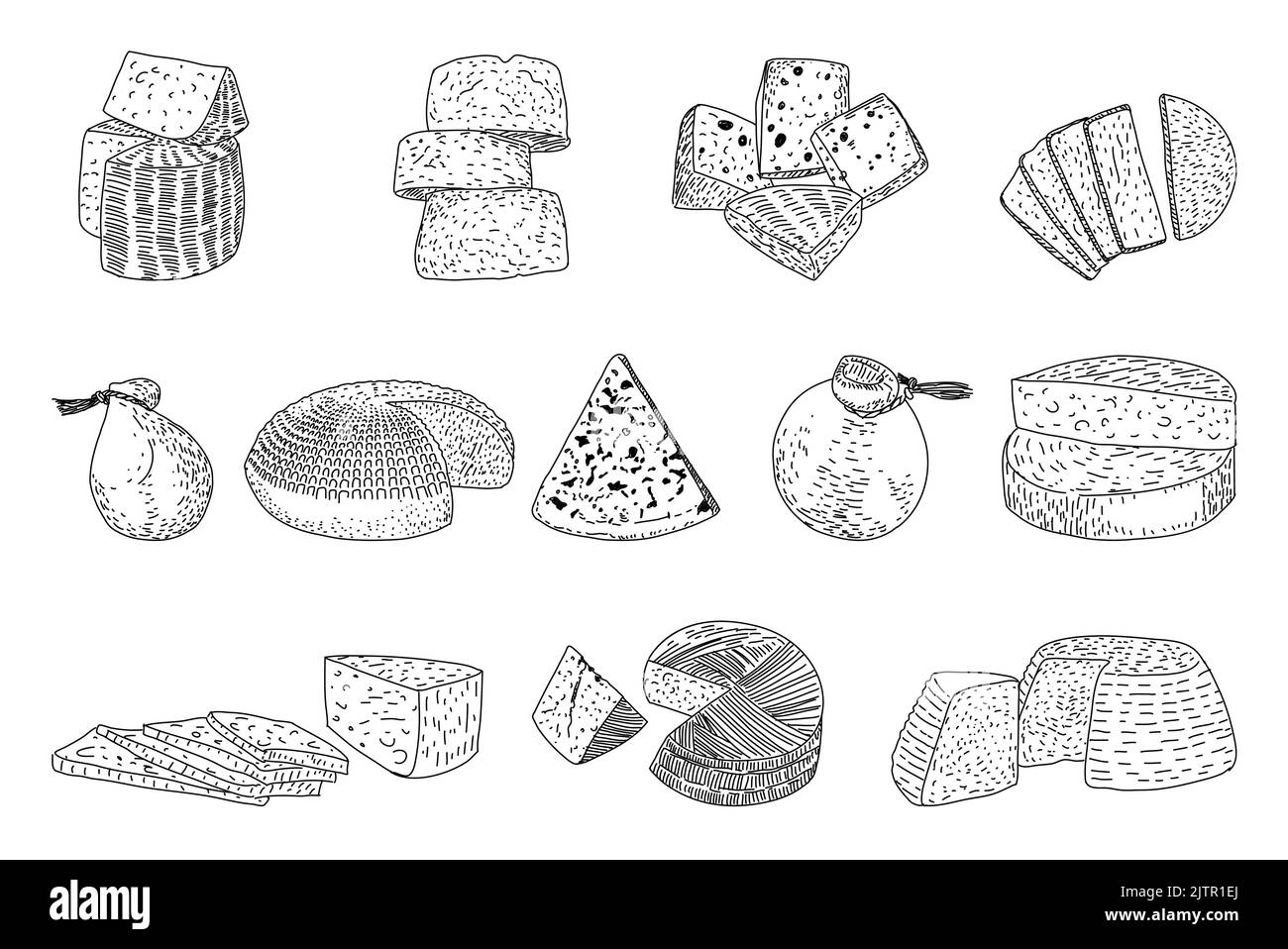 Cheese Hand Drawn Vector Illustrations Farm Market Product Healthy