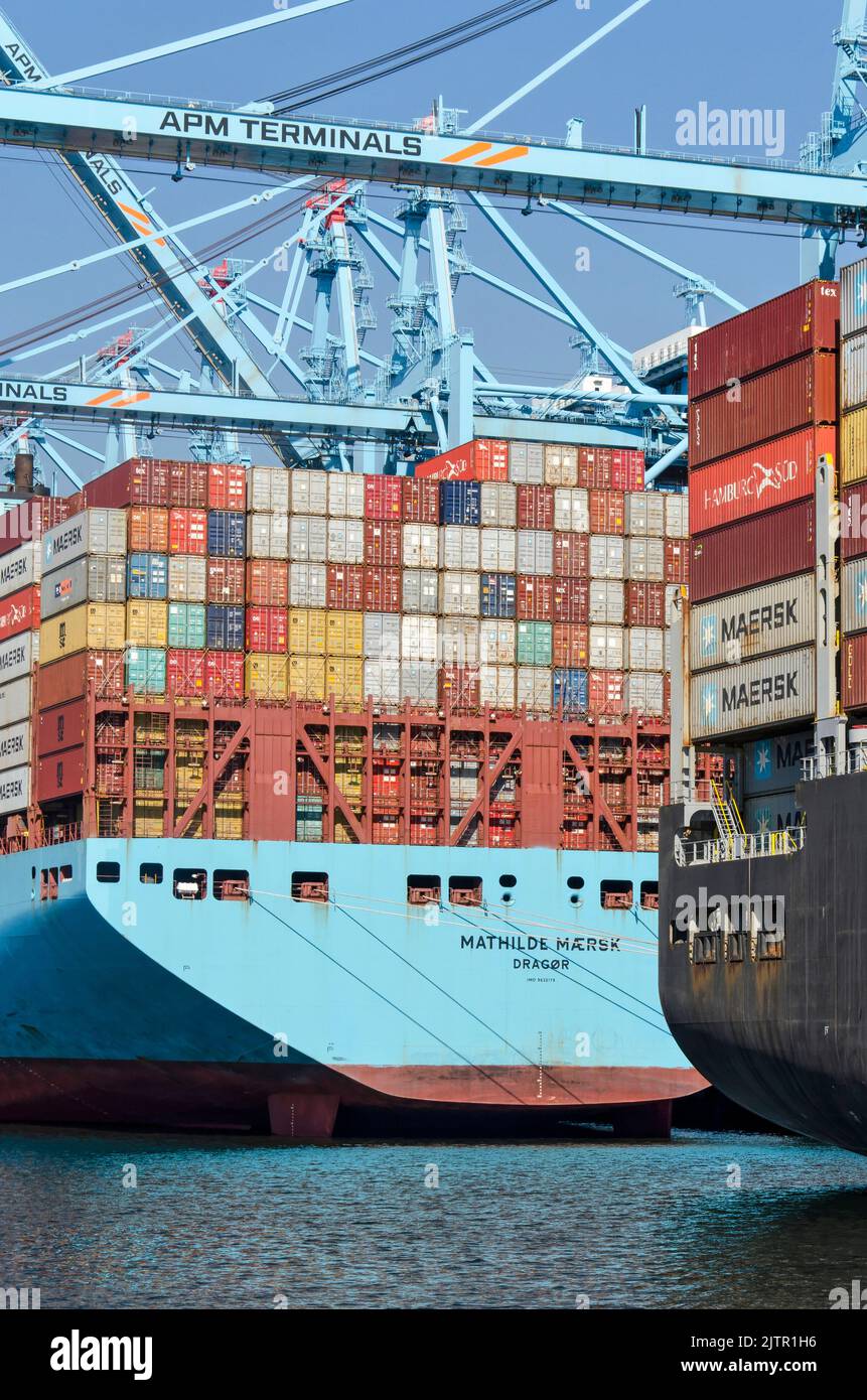 Rotterdam, The Netherlands, August 23, 2022: two large vessels packed ...
