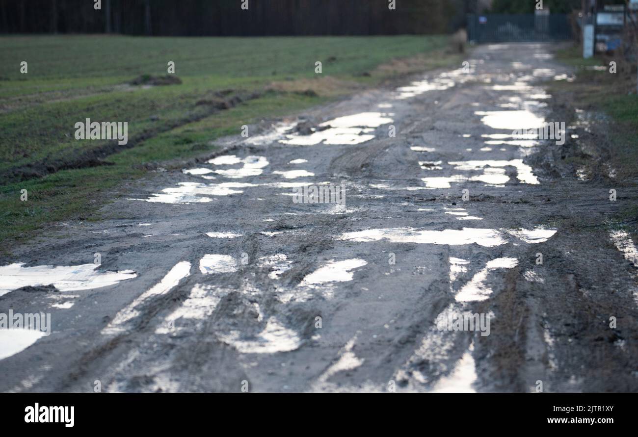 Dirt road after rain. Puddles and mud on the road Stock Photo - Alamy