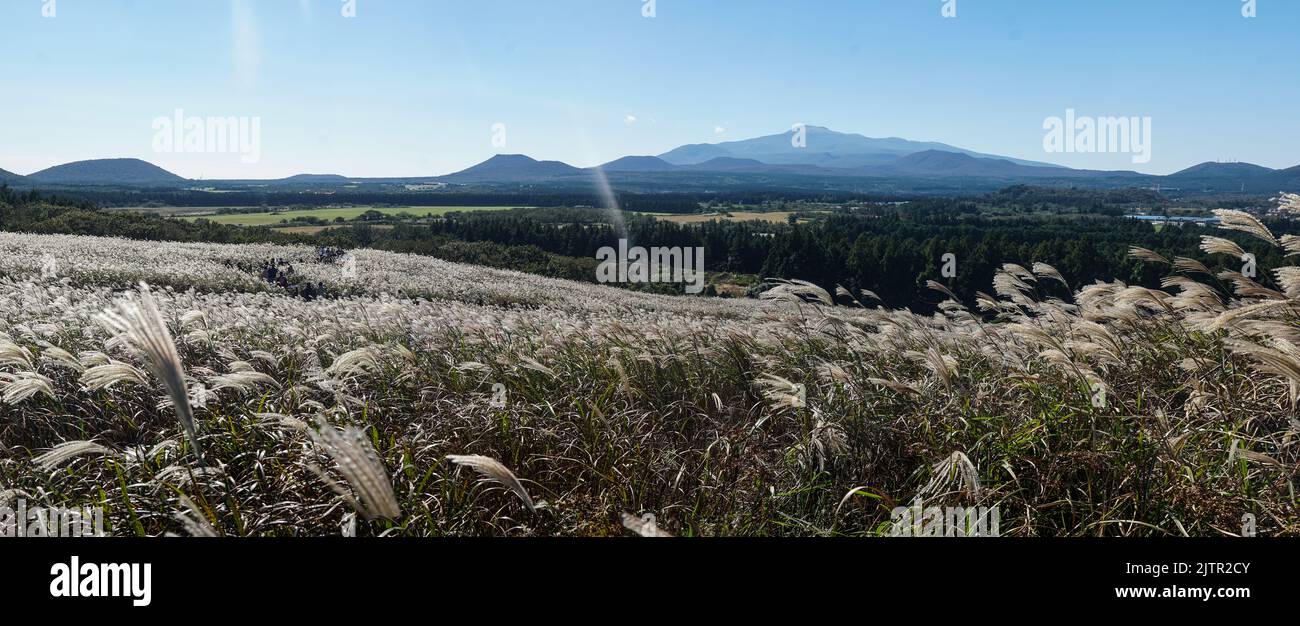 The Autumn Scenery of Mountain Gumburi in Jeju Island, Korea Stock ...
