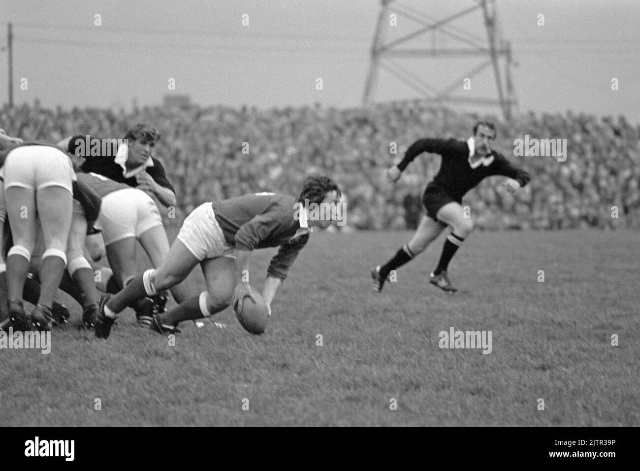 31 of 72 Black and White Stock Photos & Images - Alamy