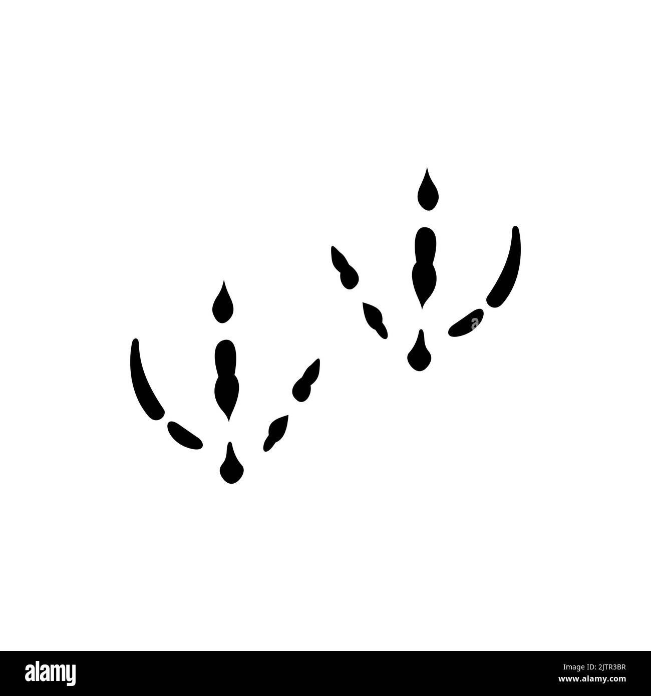 Crow or raven feathered animal footprints isolated black silhouette ...