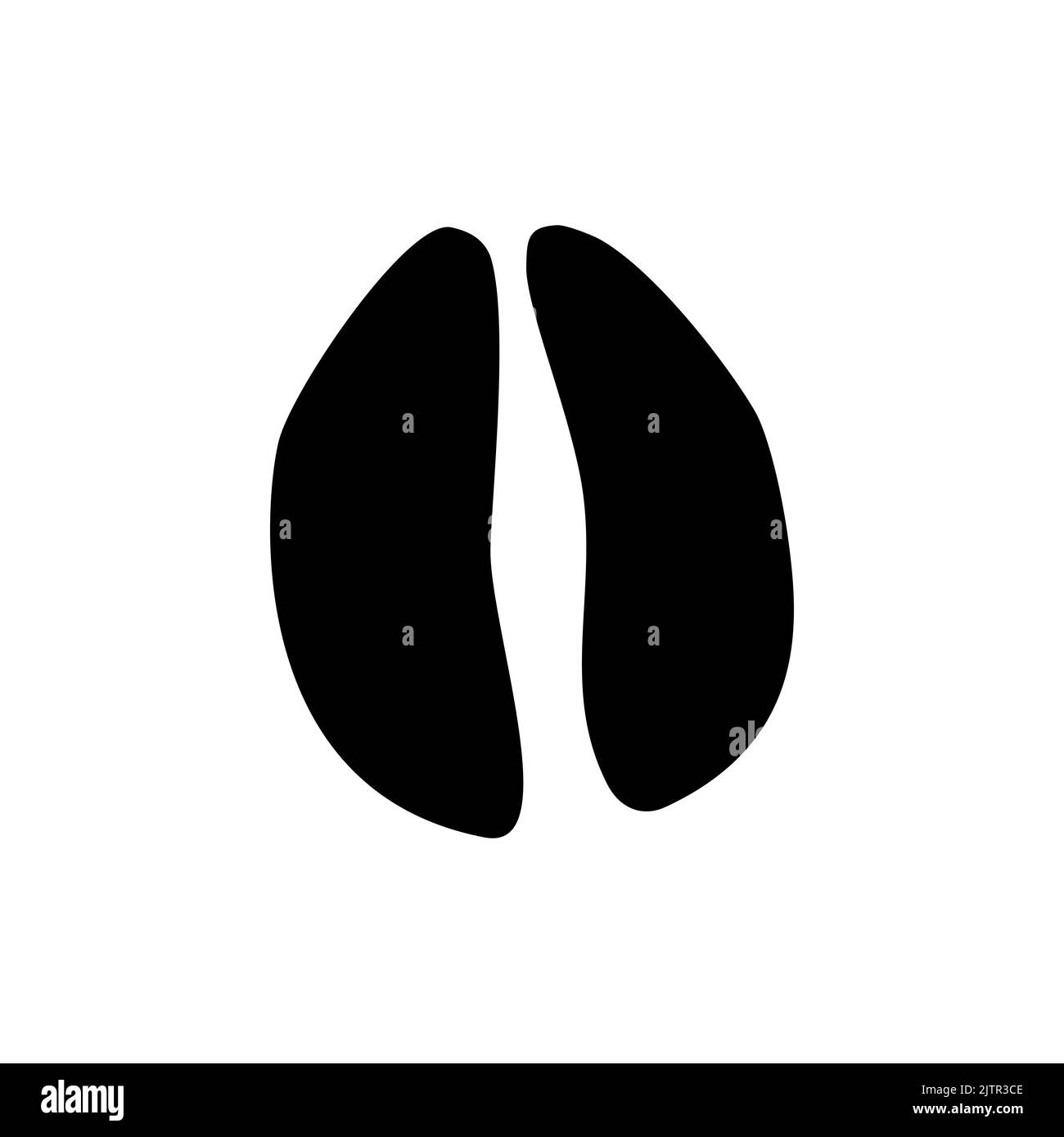 Reindeer or moose trace after walk on ground isolated black silhouette ...