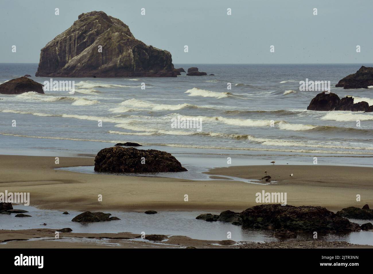 Beaches are all public in Oregon, including Badon Beach which is famous ...