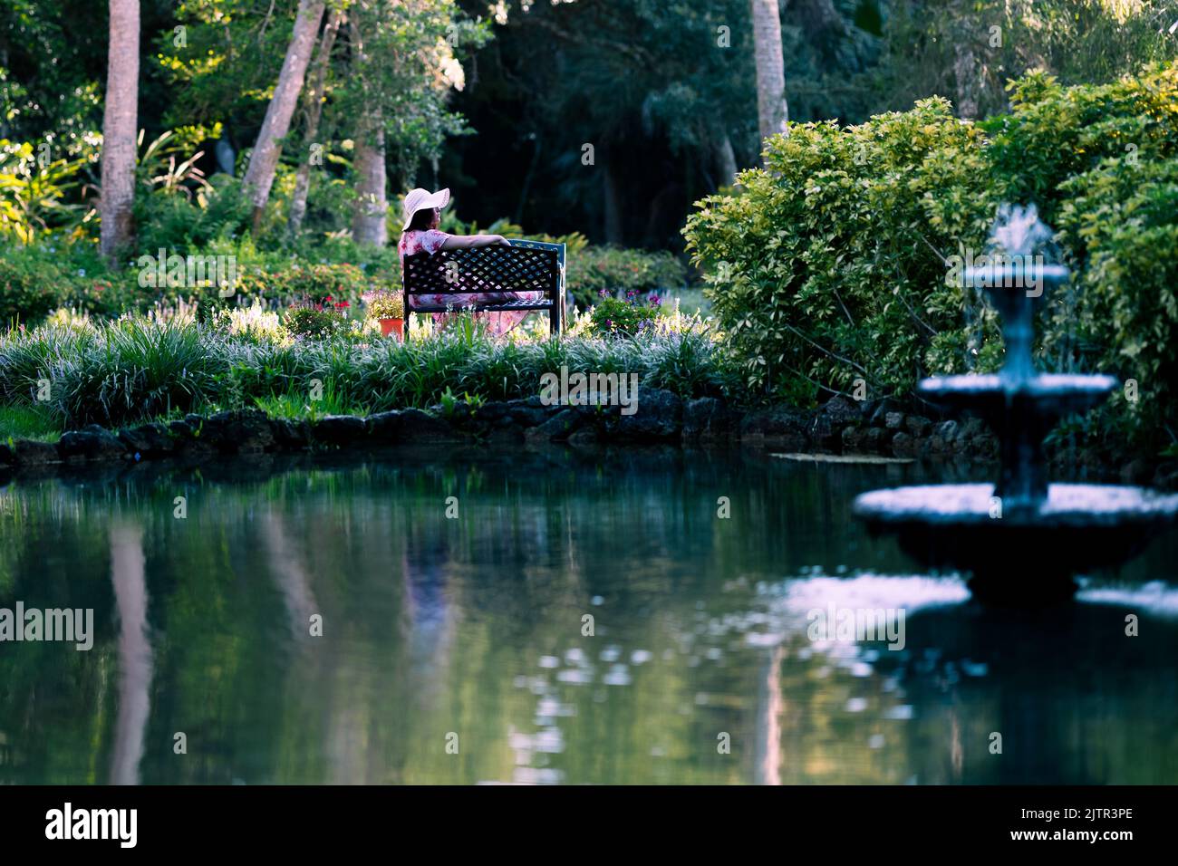 A woman sitting on a bench at Palm Coast in Florida, USA Stock Photo ...