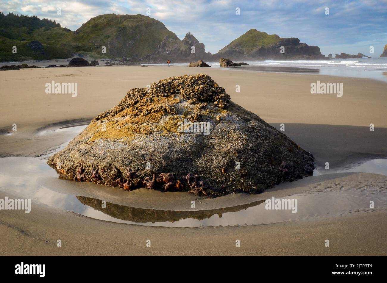 Face Rock in Bandon, Oregon Stock Photo - Alamy