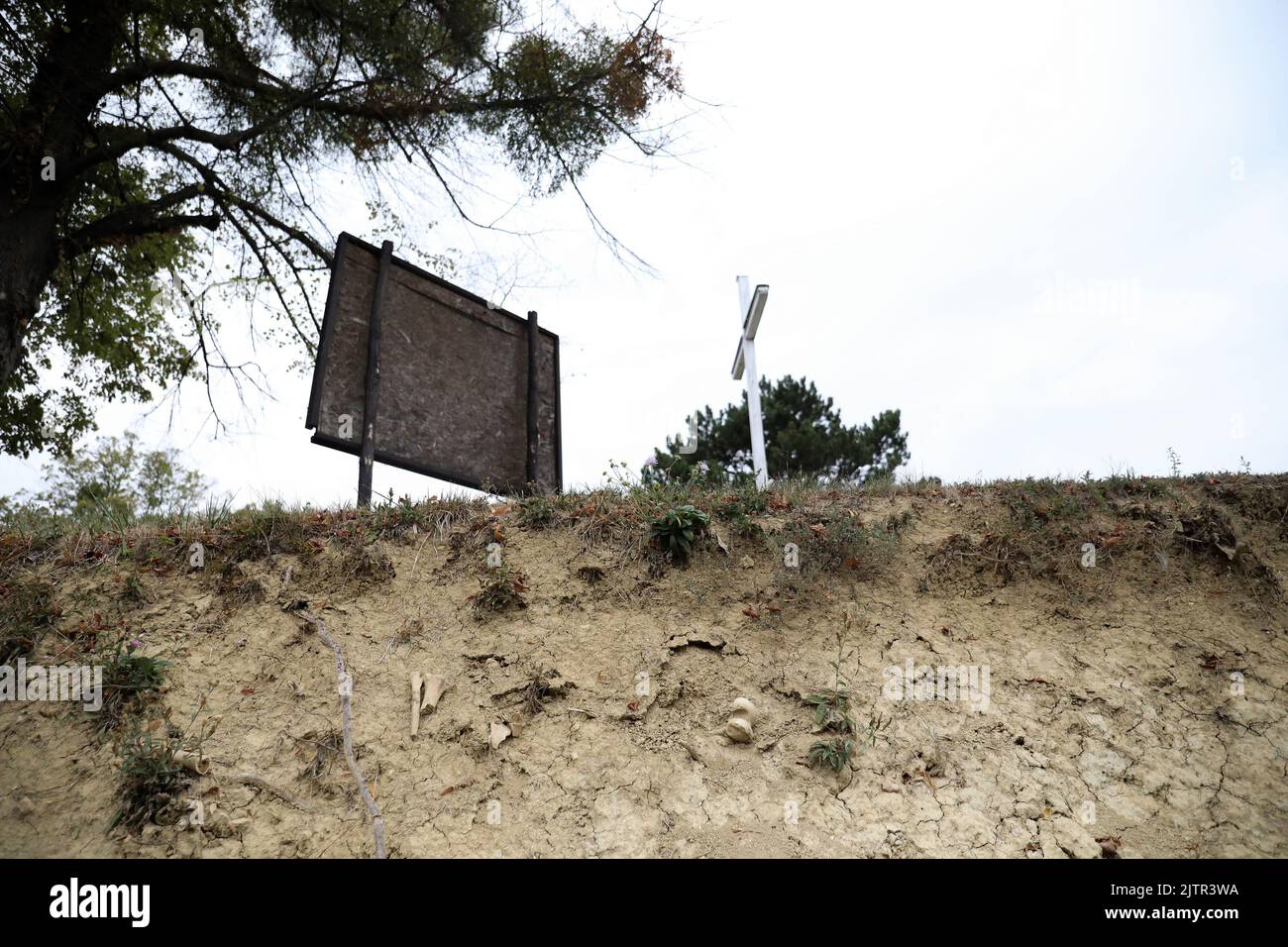Human bones sticking out of the freshly dug earth along the road, right ...