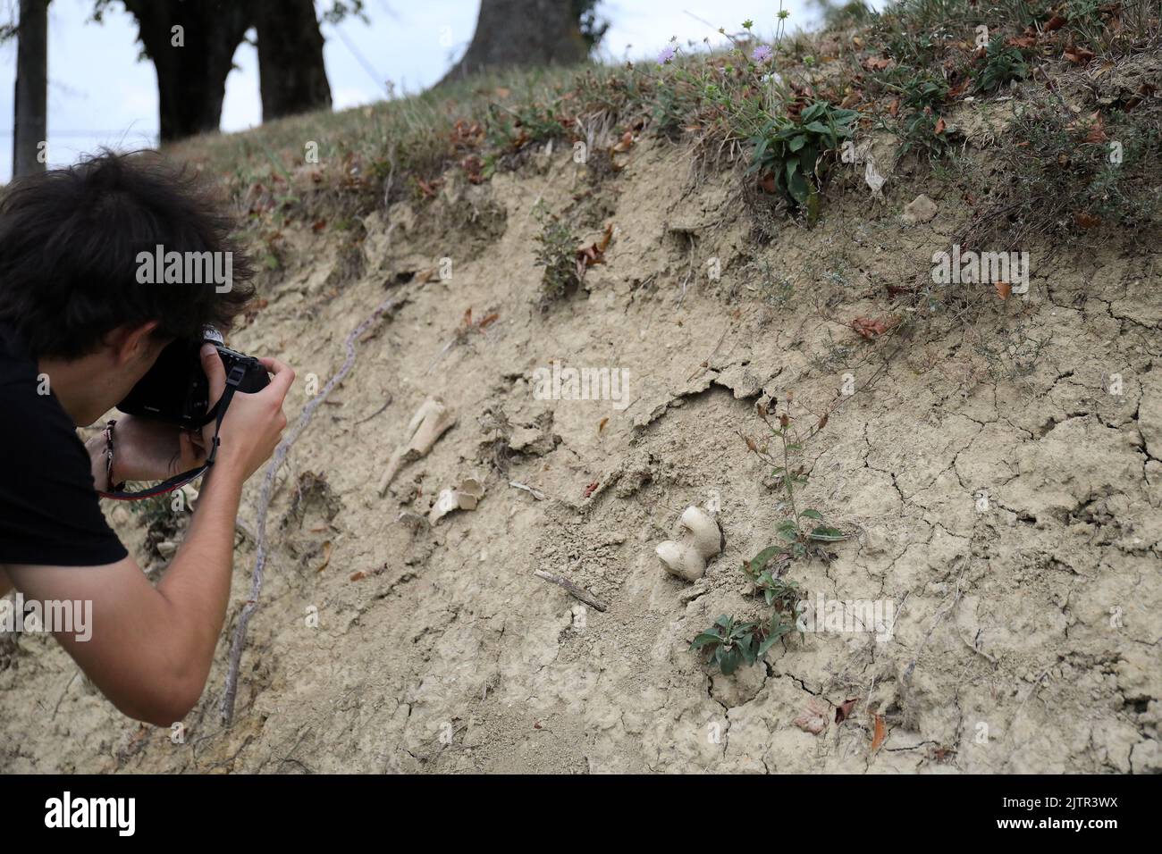 Human bones sticking out of the freshly dug earth along the road, right ...