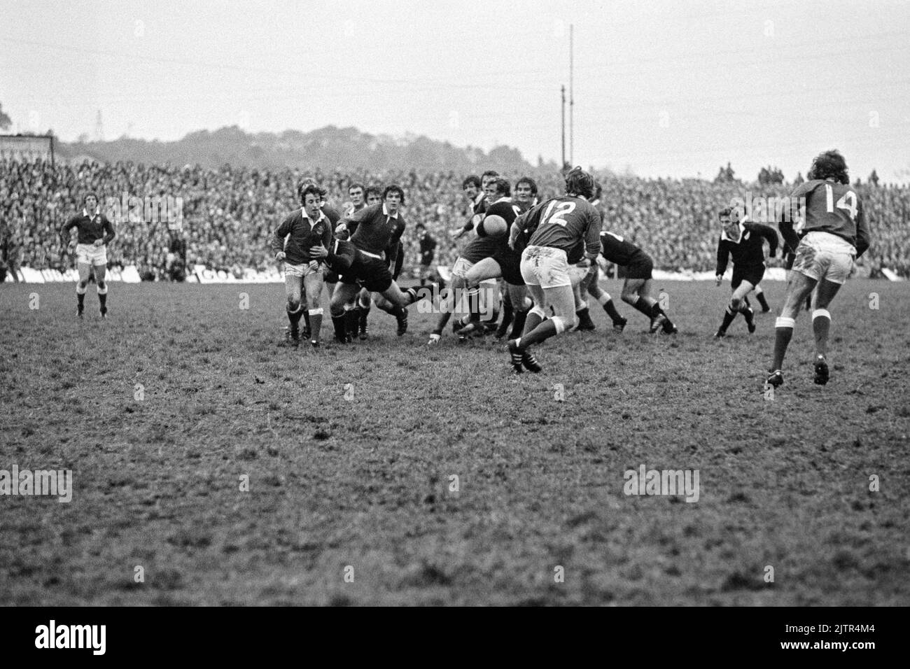 Ray gravell rugby hi-res stock photography and images - Alamy