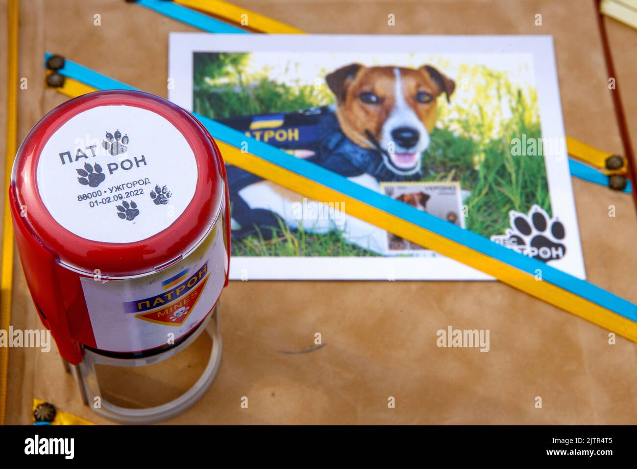 Patron dog hi-res stock photography and images - Alamy