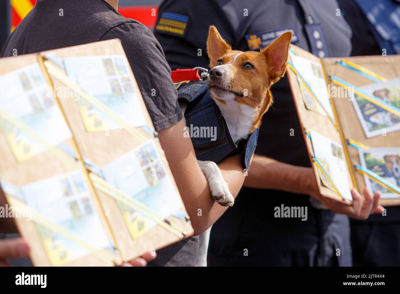 Non Exclusive: UZHHOROD, UKRAINE - SEPTEMBER 01, 2022 - Uzhhorod double ...
