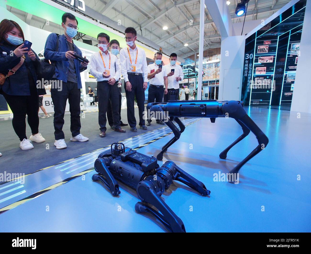 Chinese performance dog hi-res stock photography and images - Alamy