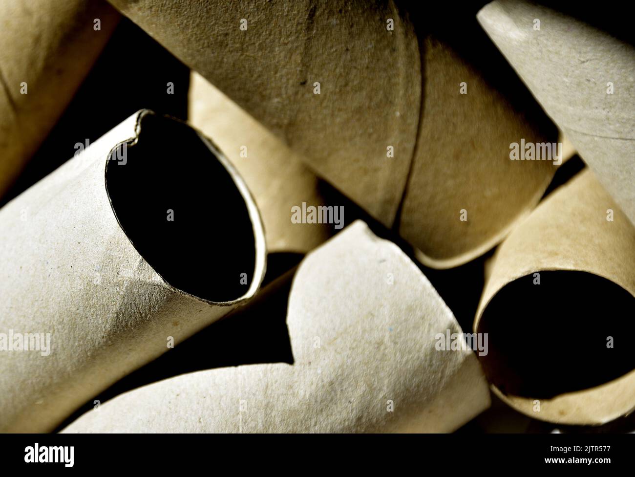 Toilet roll inner hi-res stock photography and images - Alamy
