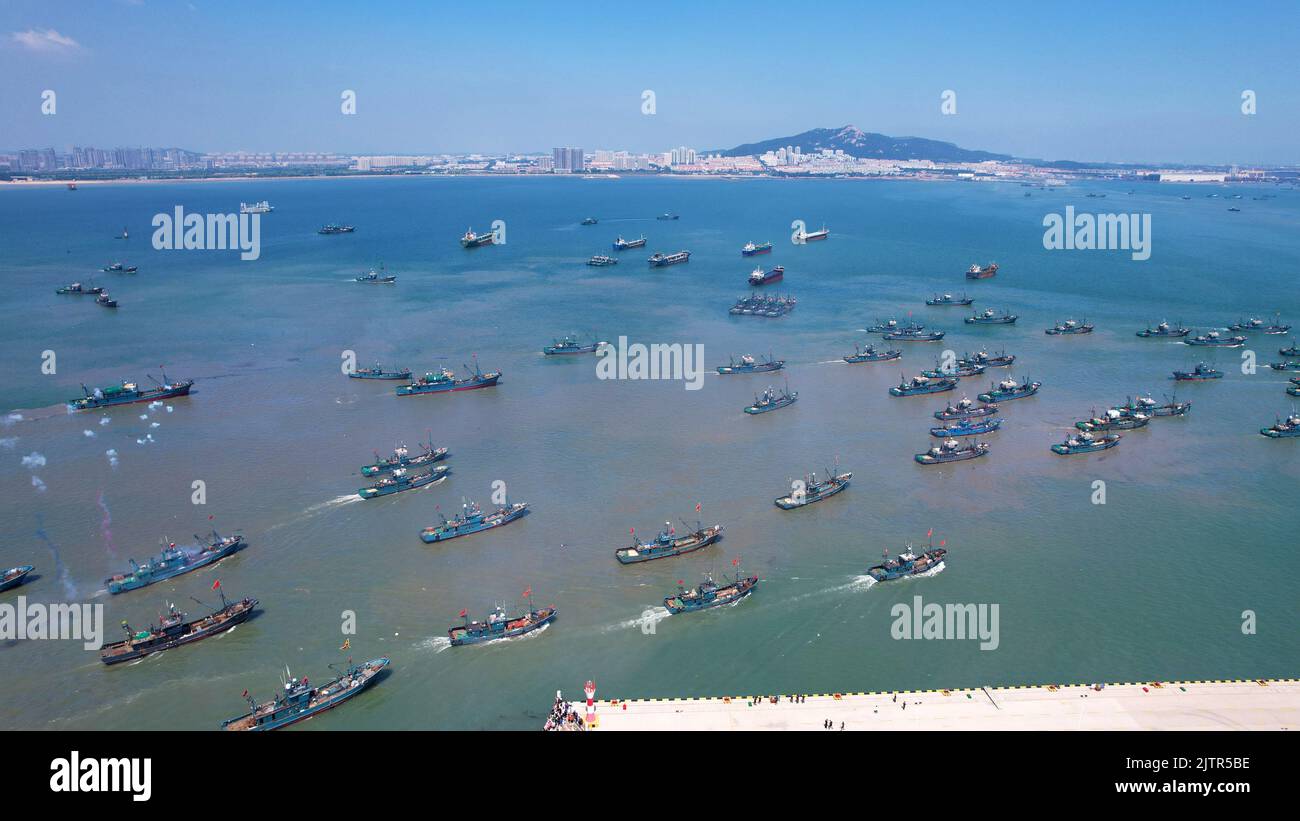 WEIHAI, CHINA - SEPTEMBER 1, 2022 - A large number of fishing boats ...