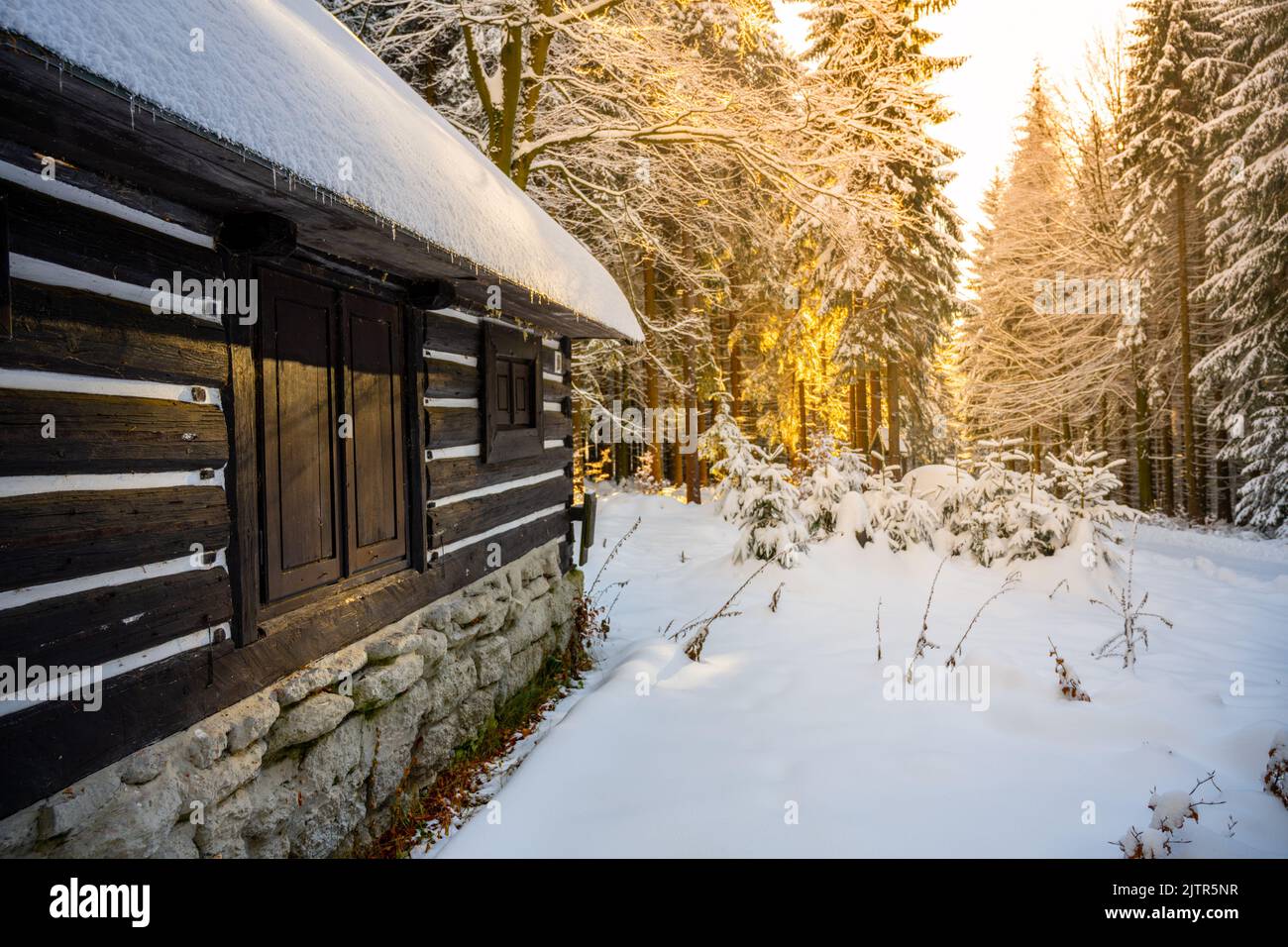 Small wooden forest cabin in winter Stock Photo - Alamy