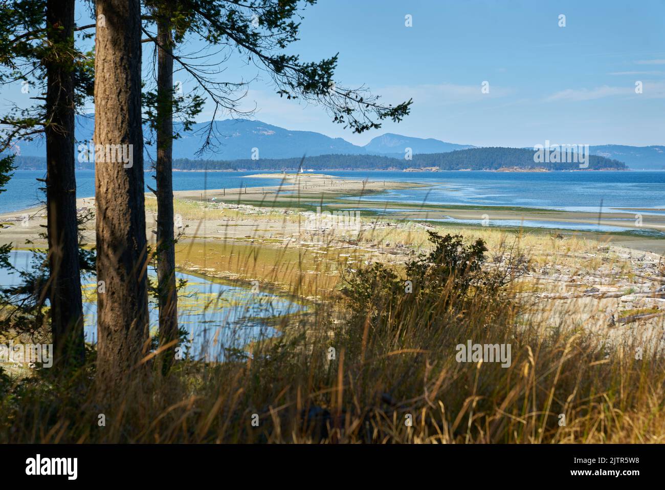Sidney Spit Vancouver Island BC. Sidney Spit on Sidney Island near ...