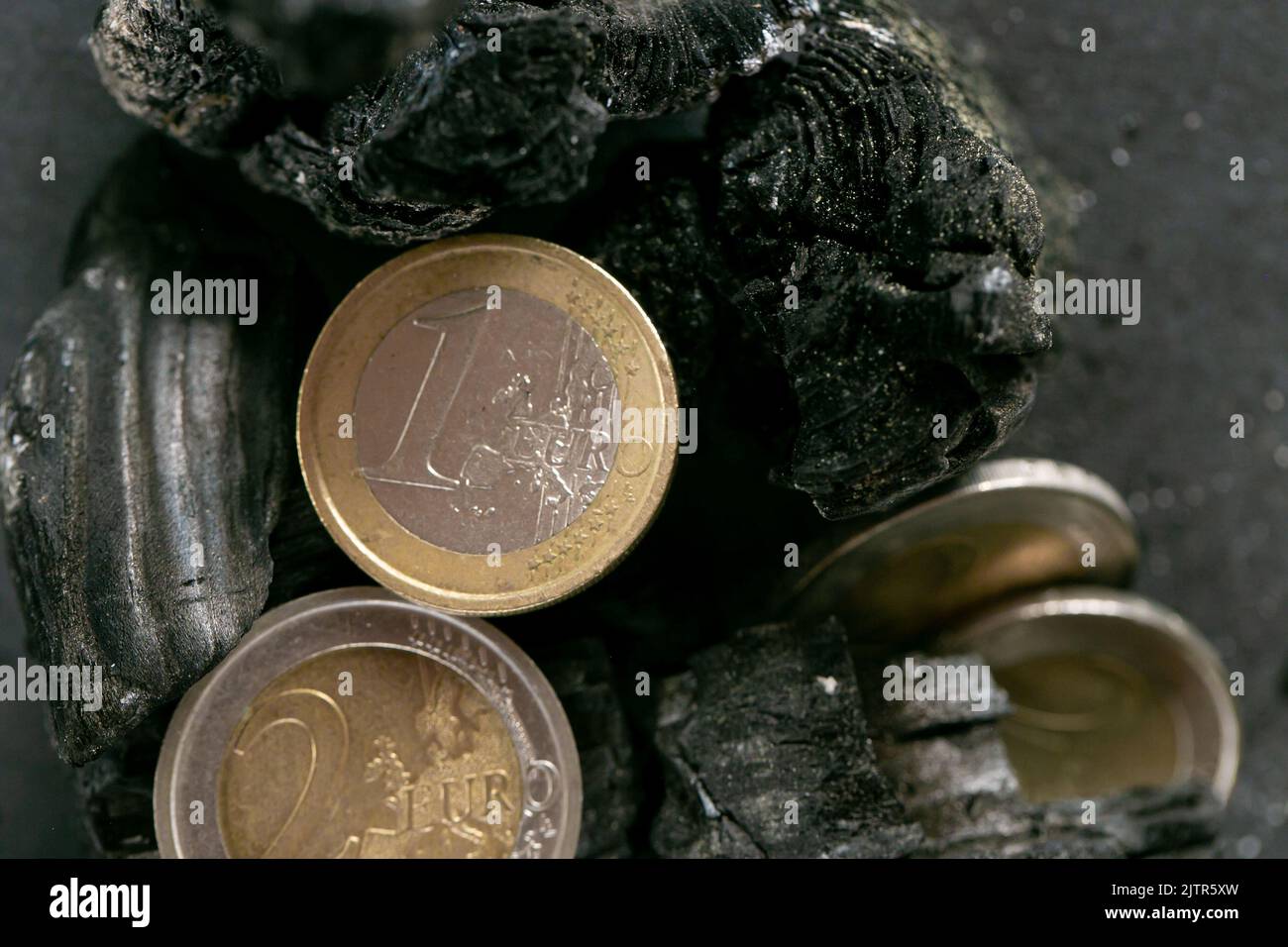 euro coin on a piece of coal.coal and euro .Coal industry.Buying and ...