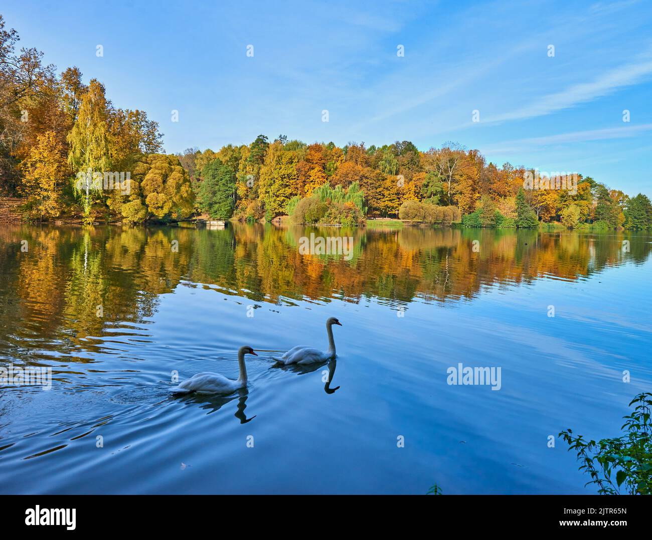 Park in bright sunny view hi-res stock photography and images - Alamy