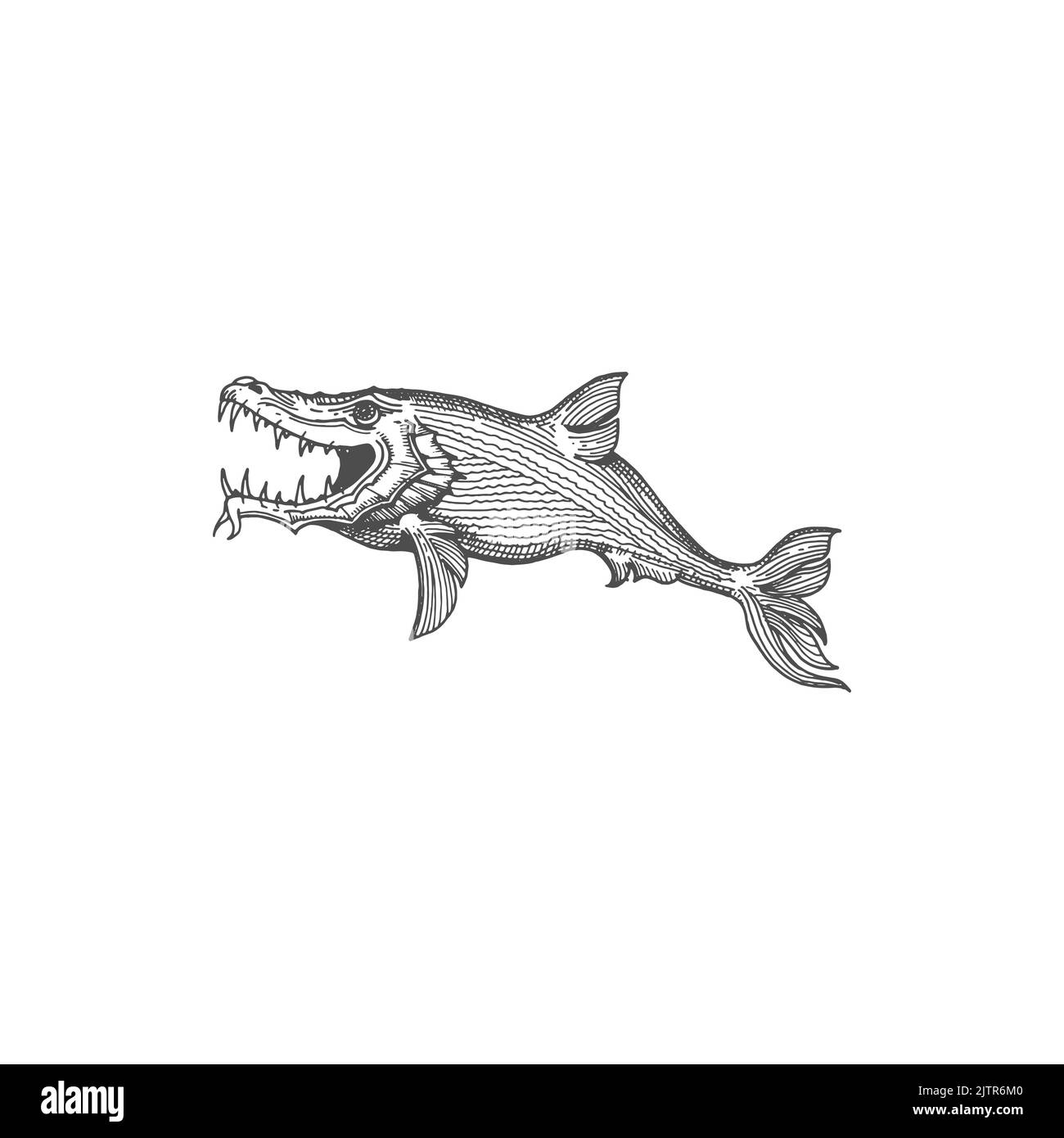 Marine beast, cetus sketch animal isolated aquatic creature. Vector ...
