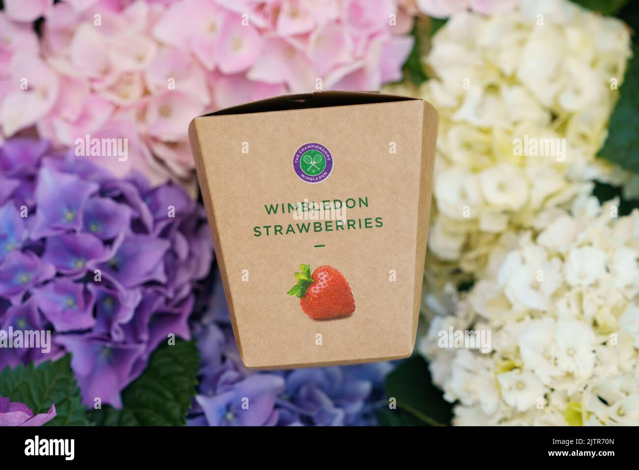 Wimbledon Strawberry box around the grounds at The Championships 2022 ...
